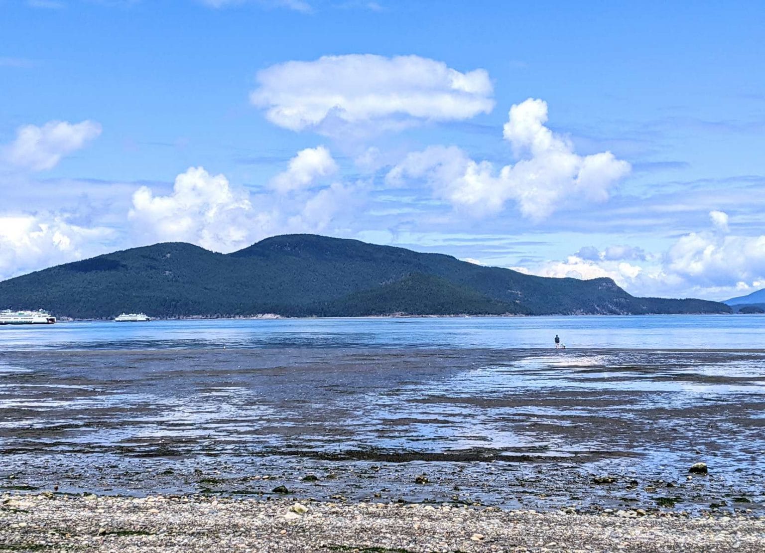 20 Perfect Things to do with Your Kids in Anacortes, WA - Two Little Pandas