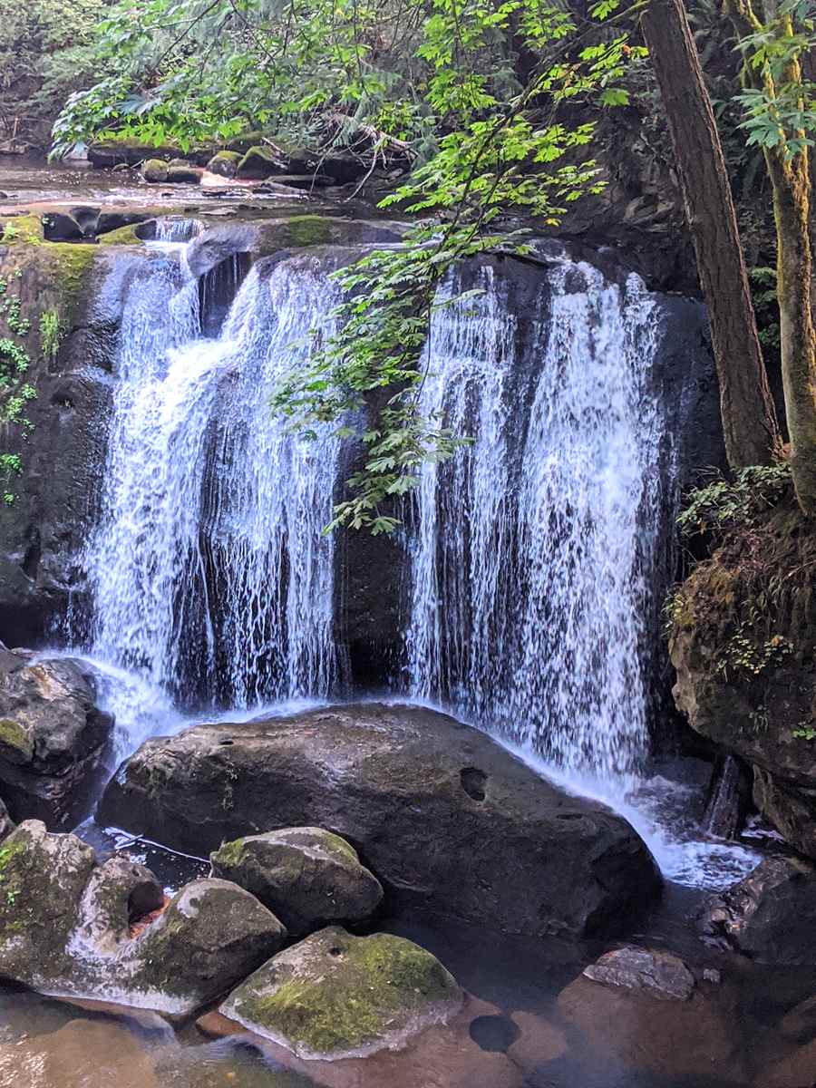 50 Things to do in Bellingham - Two Little Pandas